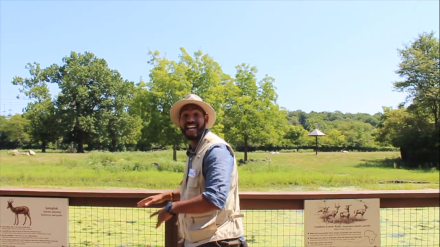 All USA Science & Engineering Festival Videos | USASEF